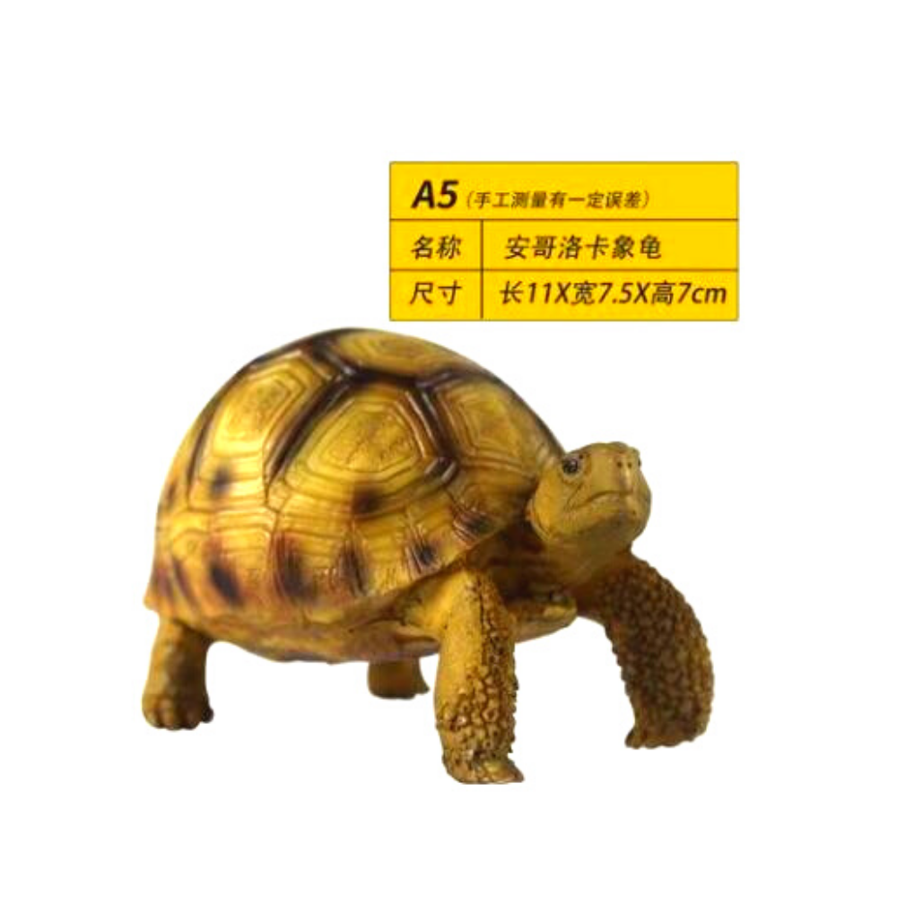 NOMOYPET A-5 Turtle deco – tohaquarium