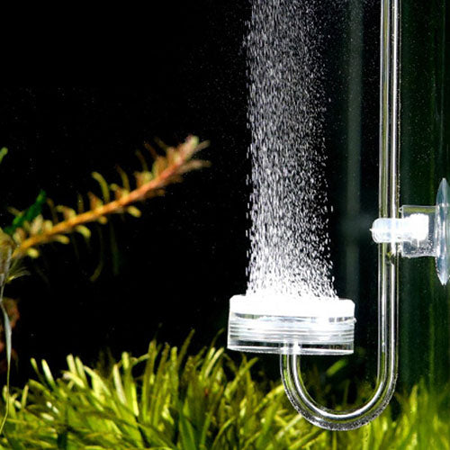 ANS Pro II Diffuser Co2 S – tohaquarium