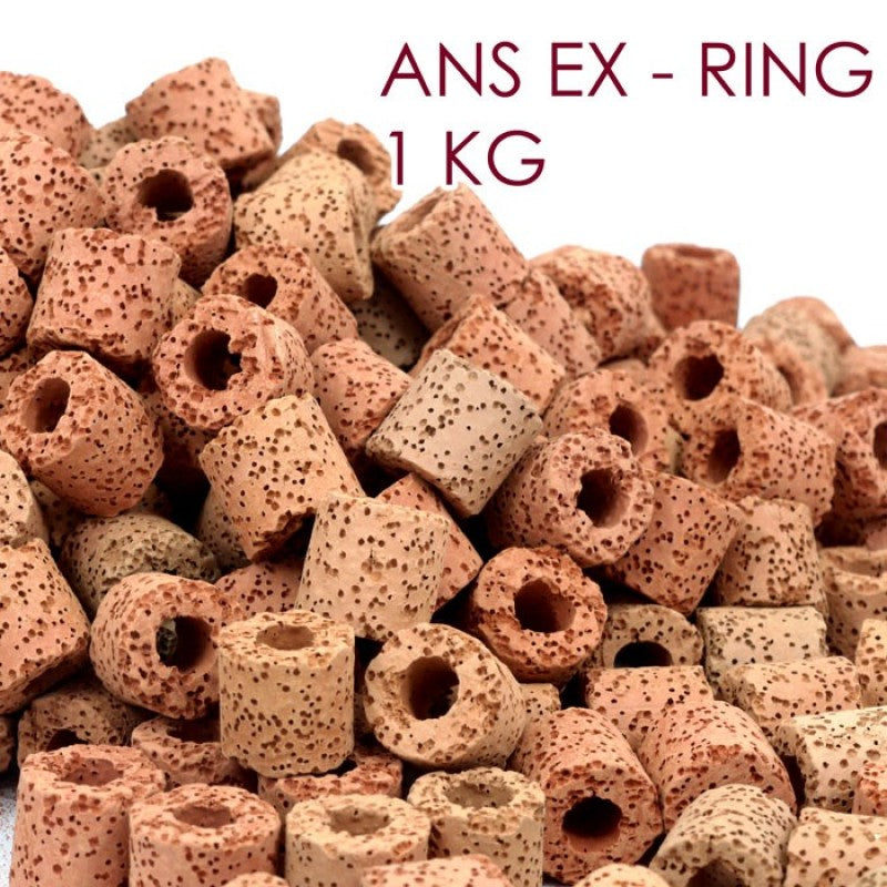 ANS Ring Ex Red 1kg – tohaquarium