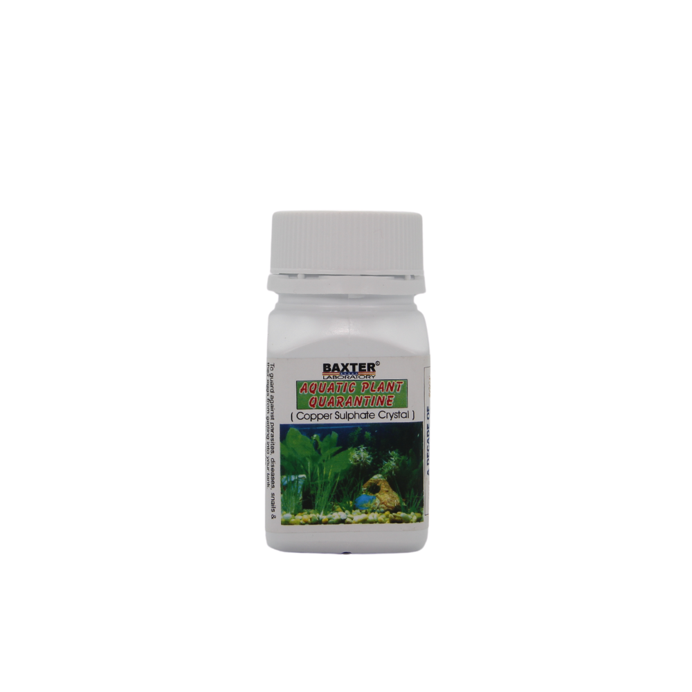 Baxter Aquatic Plant Quarantine – tohaquarium