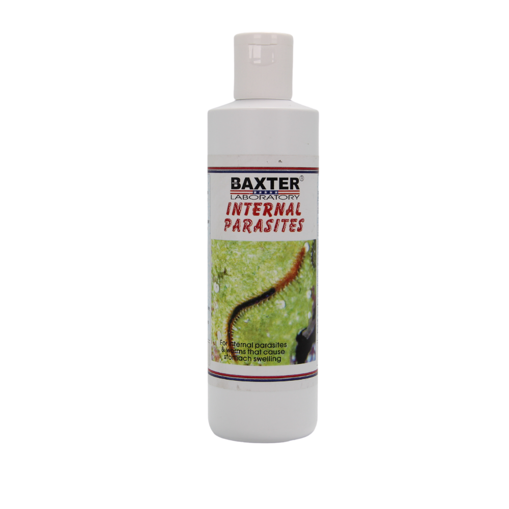 Baxter Internal Parasite 250ml – tohaquarium