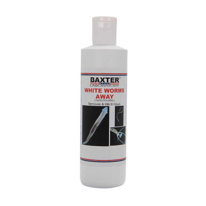 Baxter White Worms Away (Hydra Parasites) 250ml – tohaquarium