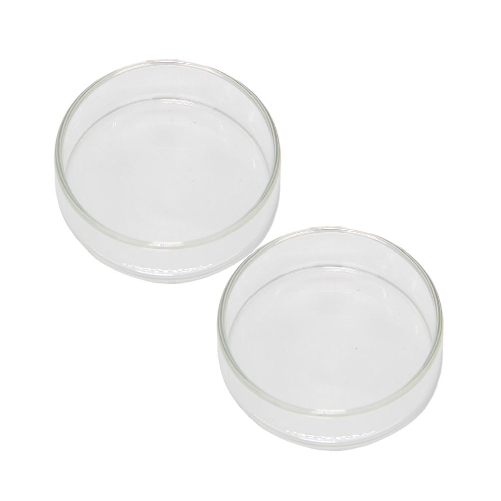 Glass Round Dish (Options Available) – tohaquarium