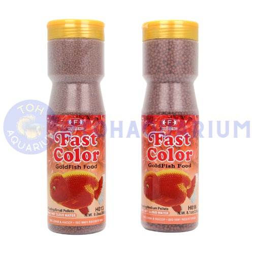 Hai Feng Goldfish Fast Colour (Options Available) – tohaquarium