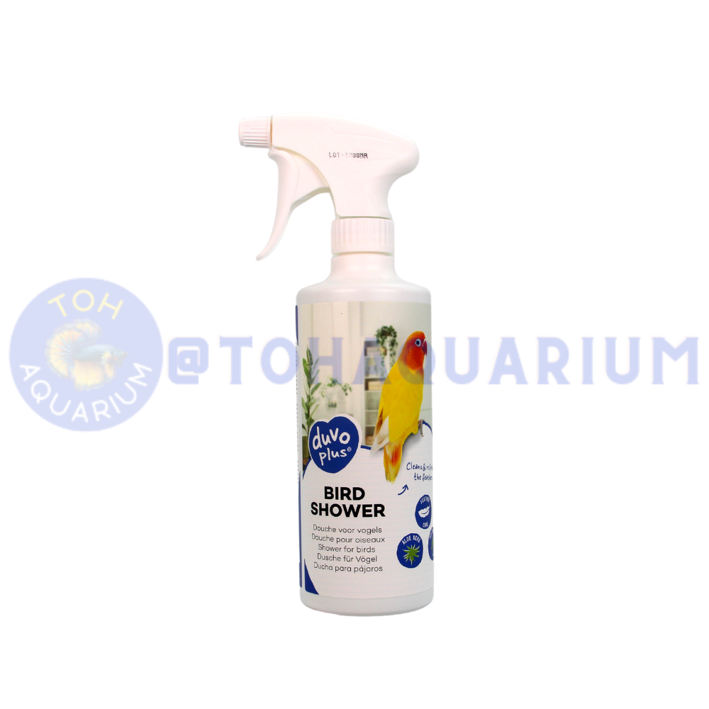 Bird – tohaquarium