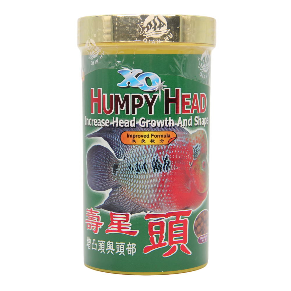 Ocean Free XO Humpy Head 400g – tohaquarium